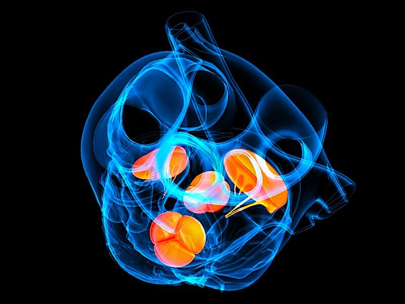 Transcatheter Cardiovascular Therapeutics (TCT) 2017