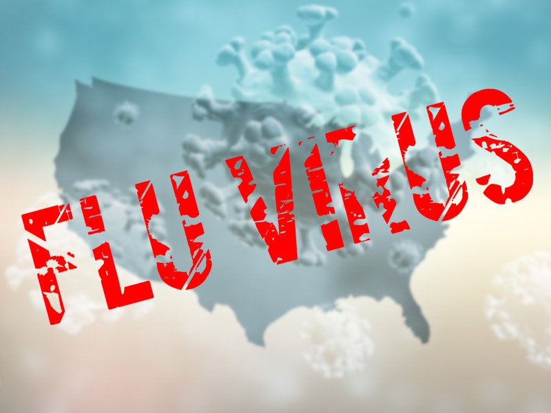 Influenza Strikes Again: 100 Years After Great Pandemic