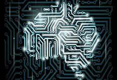 Alzheimer Disease: Practice Essentials, Background, Anatomy