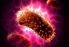 HyperRAB S/D, KedRab (rabies immune globulin, human (RIG)) dosing ...