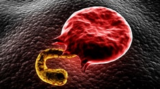 (primaquine) dosing, indications, interactions, adverse effects, and more