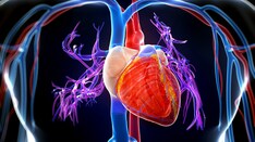 Heart Failure Workup: Approach Considerations, Routine Laboratory Tests ...