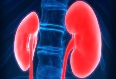 Azotemia Workup: Laboratory Studies, Ultrasonography, Computed ...