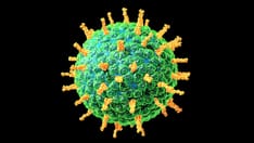 Rotarix, RotaTeq (rotavirus oral vaccine, live) dosing, indications ...