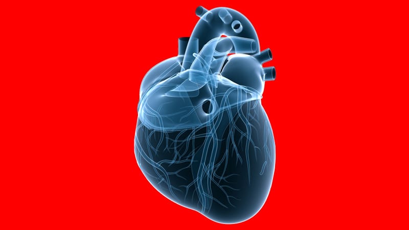 Atrial Fibrillation | Medscape