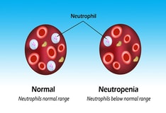 Neutropenic Fever Empiric Therapy: Empiric Therapy Regimens