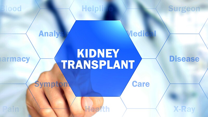 Kidney & Pancreas Transplant | Medscape
