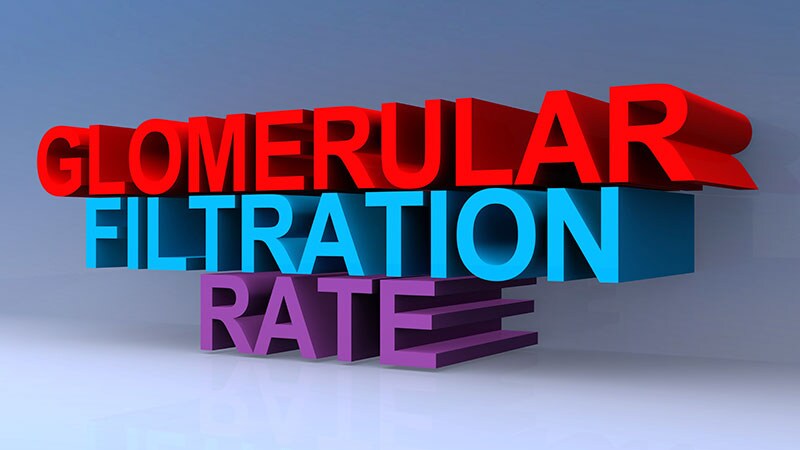 Chronic Kidney Disease | Medscape