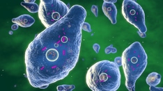 HBAT (botulinum antitoxin, heptavalent) dosing, indications ...