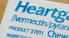 Stromectol (ivermectin) dosing, indications, interactions, adverse ...