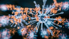 Epstein-Barr Virus (EBV) Infectious Mononucleosis (Mono) Workup ...