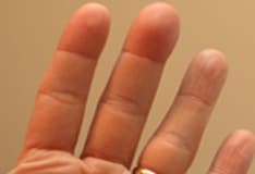 The Truth About Felons