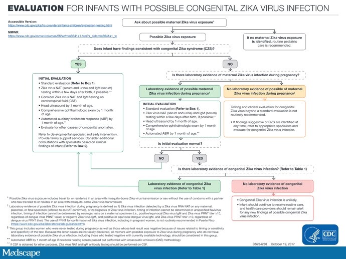 A 'Healthy' Baby With Developmental Delay: Could It Be Zika? - Page 2