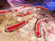 Vaxchora (cholera vaccine) dosing, indications, interactions, adverse ...