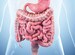 Lower Gastrointestinal Bleeding: Practice Essentials, Background, Anatomy