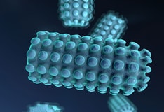 HyperRAB S/D, KedRab (rabies immune globulin, human (RIG)) dosing ...