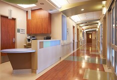 Pneumocystis Jiroveci (Carinii) Pneumonia Imaging: Practice Essentials ...