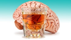 From Cradle to Grave, Alcohol Is Bad for the Brain