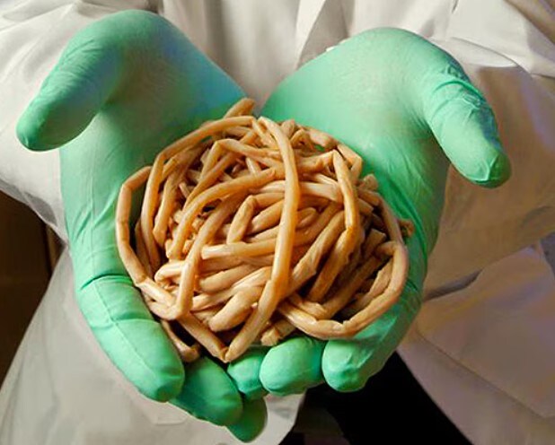 Pathology & Lab Medicine - Medscape