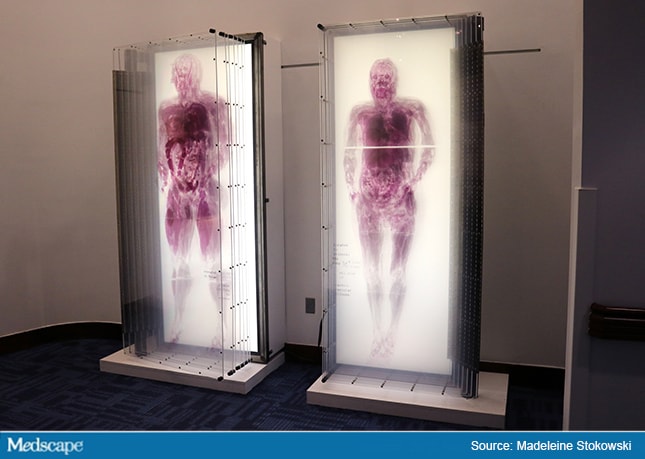 Behind the Scenes at the World's Medical Library - Page 5