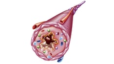 Flovent Diskus, ArmonAir Digihaler (fluticasone inhaled) dosing ...