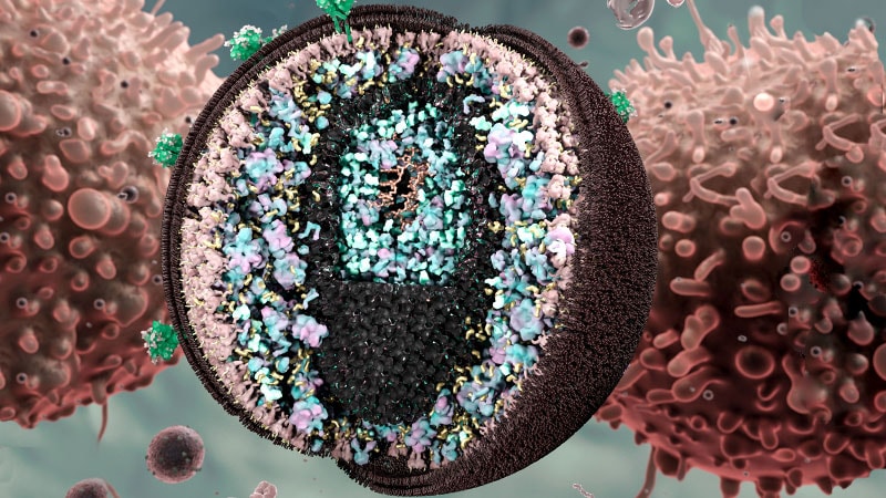 Latest Medical News, Clinical Trials, Guidelines - Today on Medscape