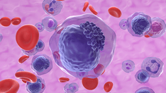 Prograf, Astagraf XL (tacrolimus) dosing, indications, interactions ...