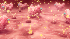 Type 2 Diabetes Mellitus: Practice Essentials, Background, Pathophysiology