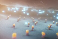 Tardive Dyskinesia: Overview, Pathophysiology, Etiology