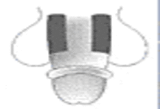 Brethaire, Brethine (terbutaline) dosing, indications, interactions ...