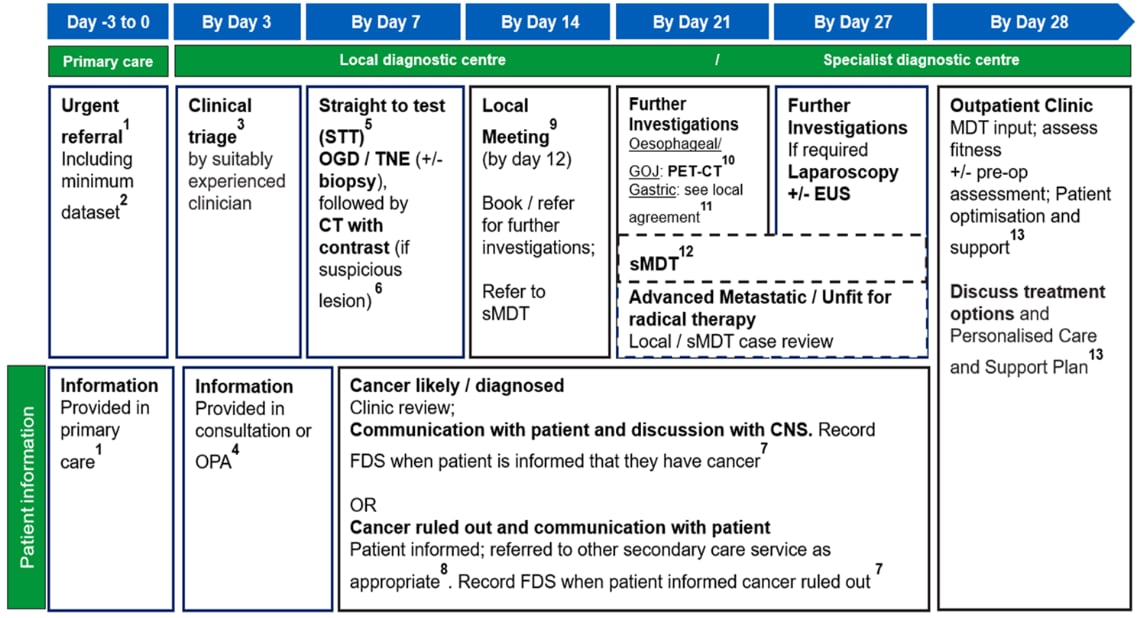 Oesophago–Gastric Cancer: Timed Diagnostic Pathway