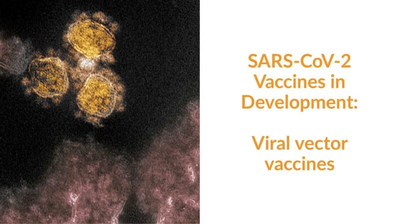 SARS-CoV-2 Vaccines Development: Viral Vectors