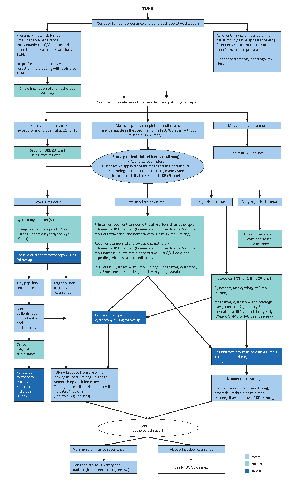Bladder Cancer, Non-muscle-invasive: EAU 2025 Guideline Summary