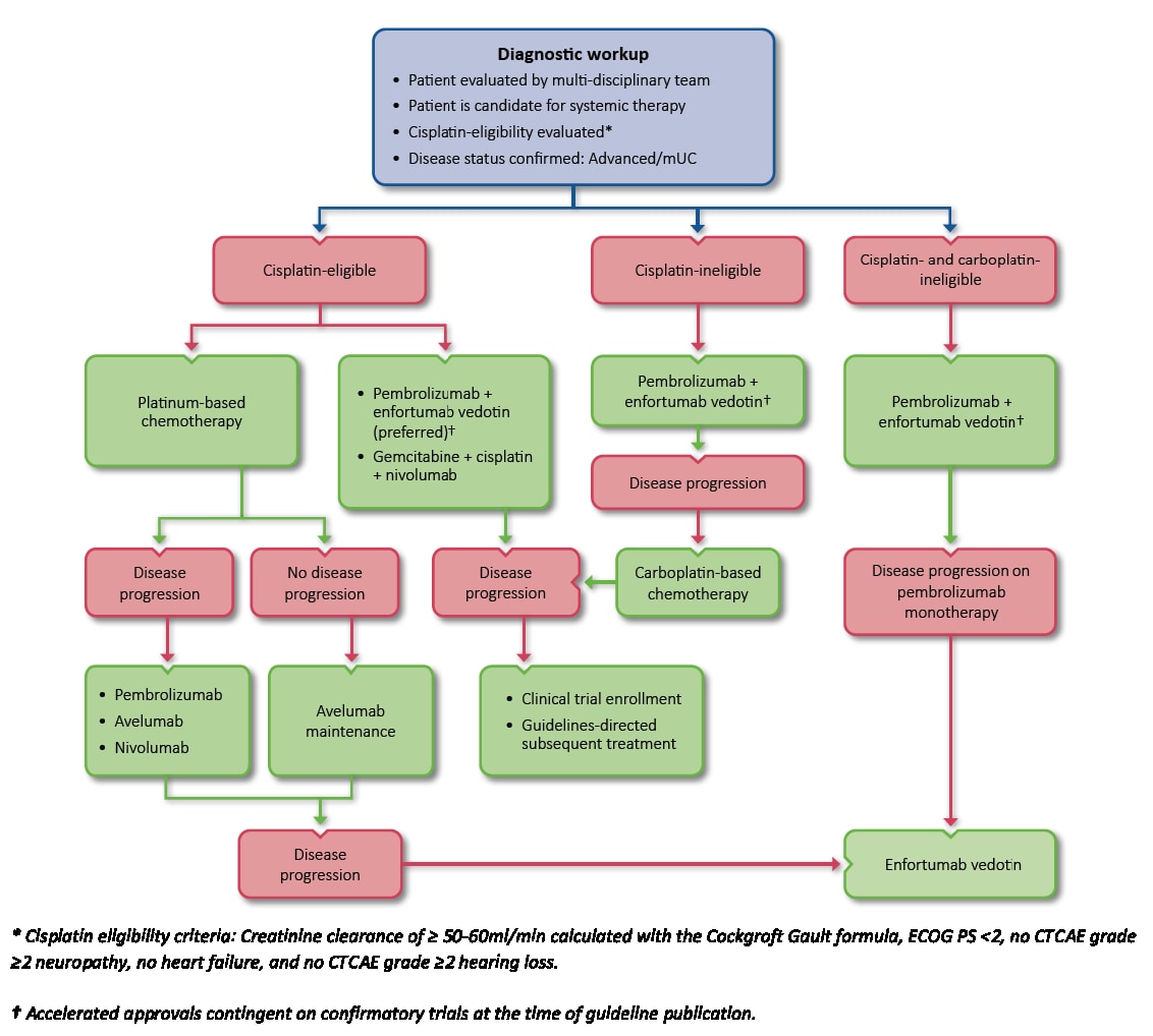 Urothelial Cancer Immunotherapy: SITC 2024 Guideline Summary