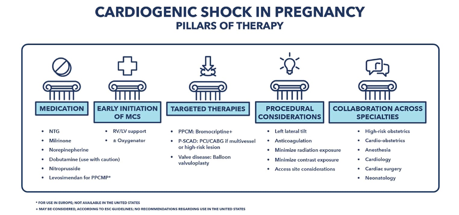 Cardiogenic Shock, Women: SCAI/EAPCI/ACVC 2025 Guideline Summary