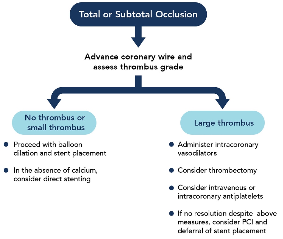 Primary Percutaneous Coronary Intervention in STEMI: SCAI 2024 ...