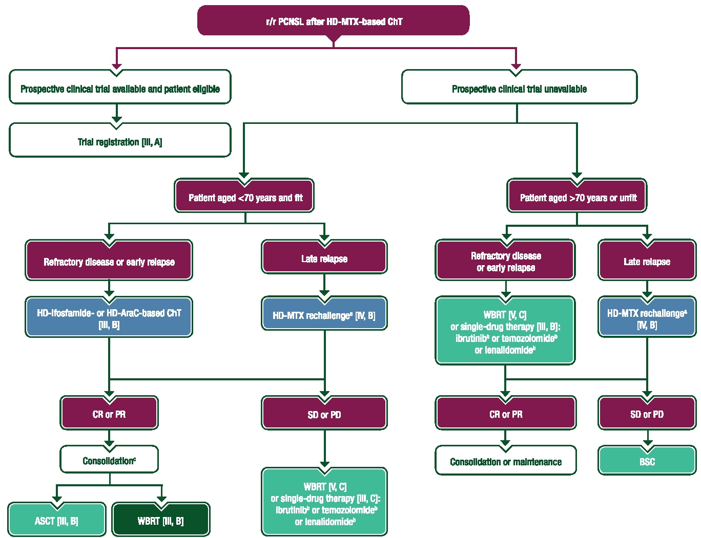 Primary CNS Lymphomas: EHA–ESMO Guideline