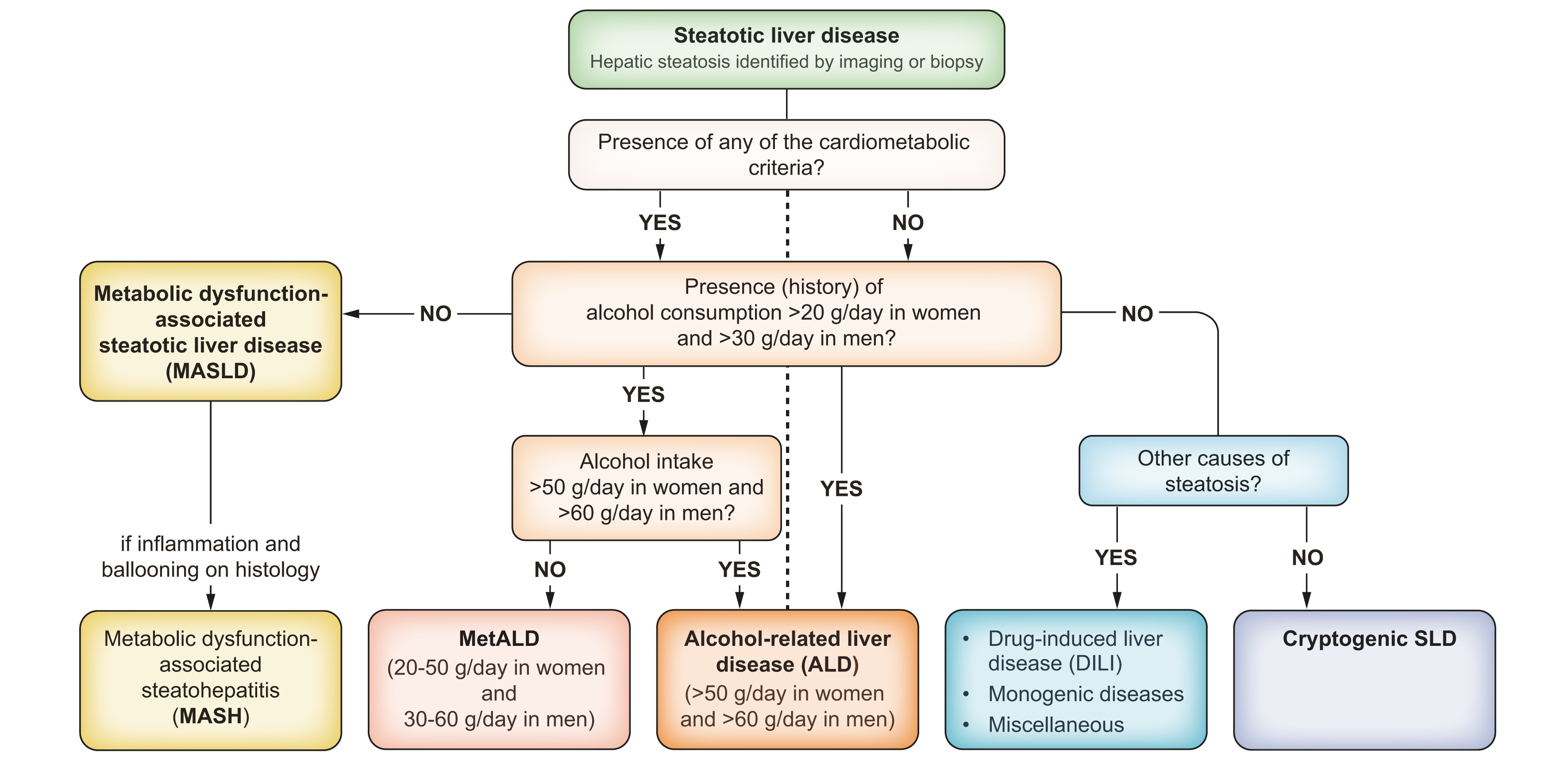 Metabolic Dysfunction-associated Steatotic Liver Disease Management ...