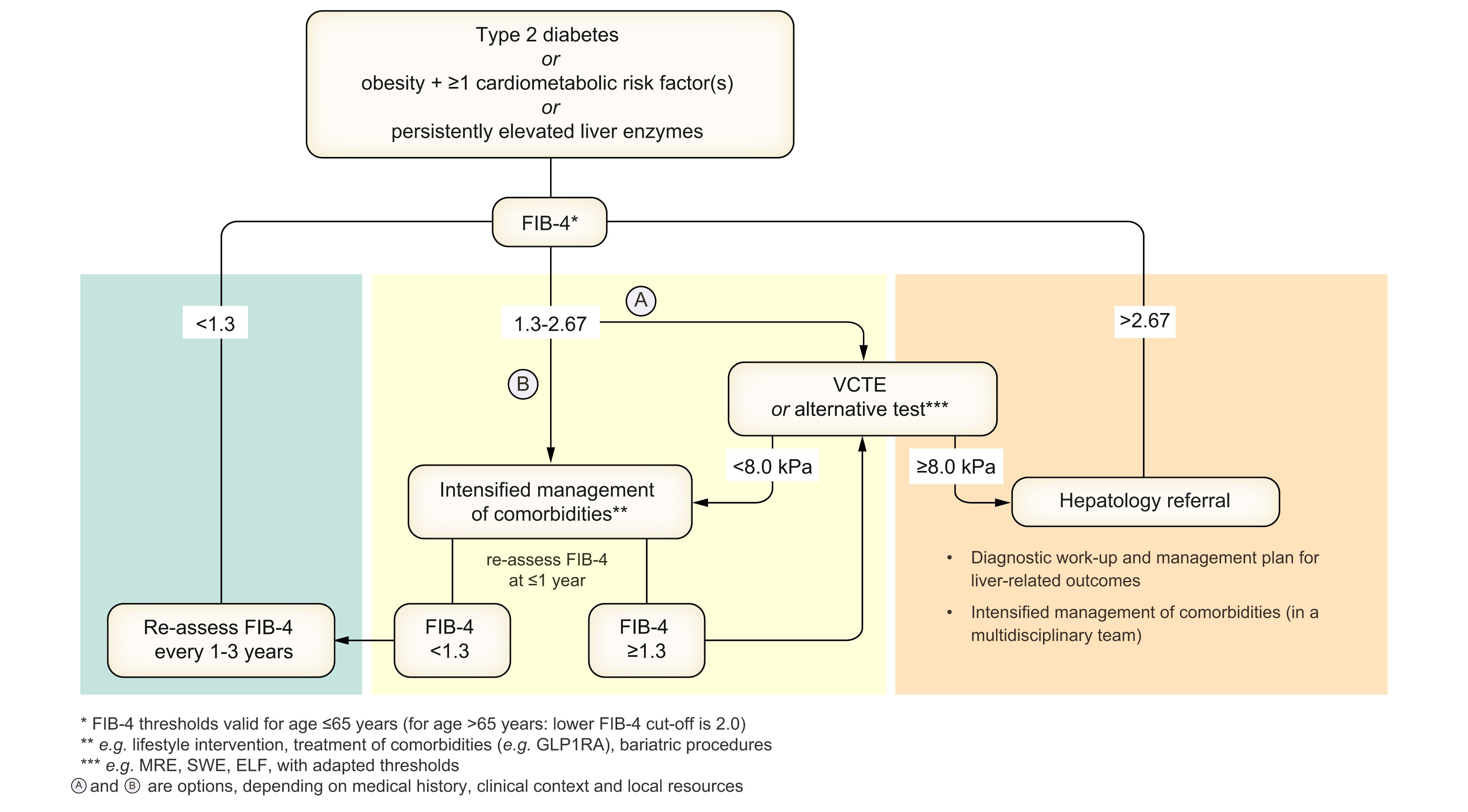 Metabolic Dysfunction-Associated Steatotic Liver Disease: Diagnosis and ...