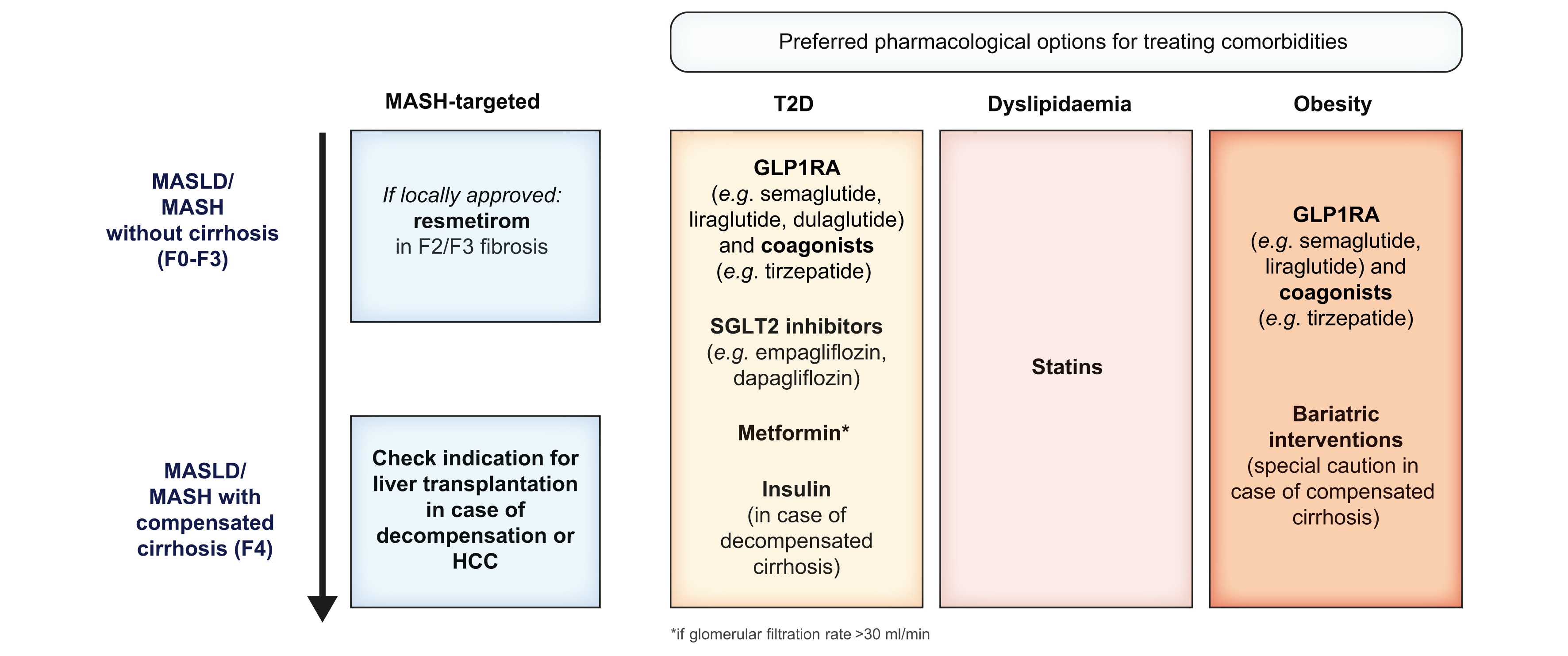 Metabolic Dysfunction-Associated Steatotic Liver Disease: Diagnosis and ...