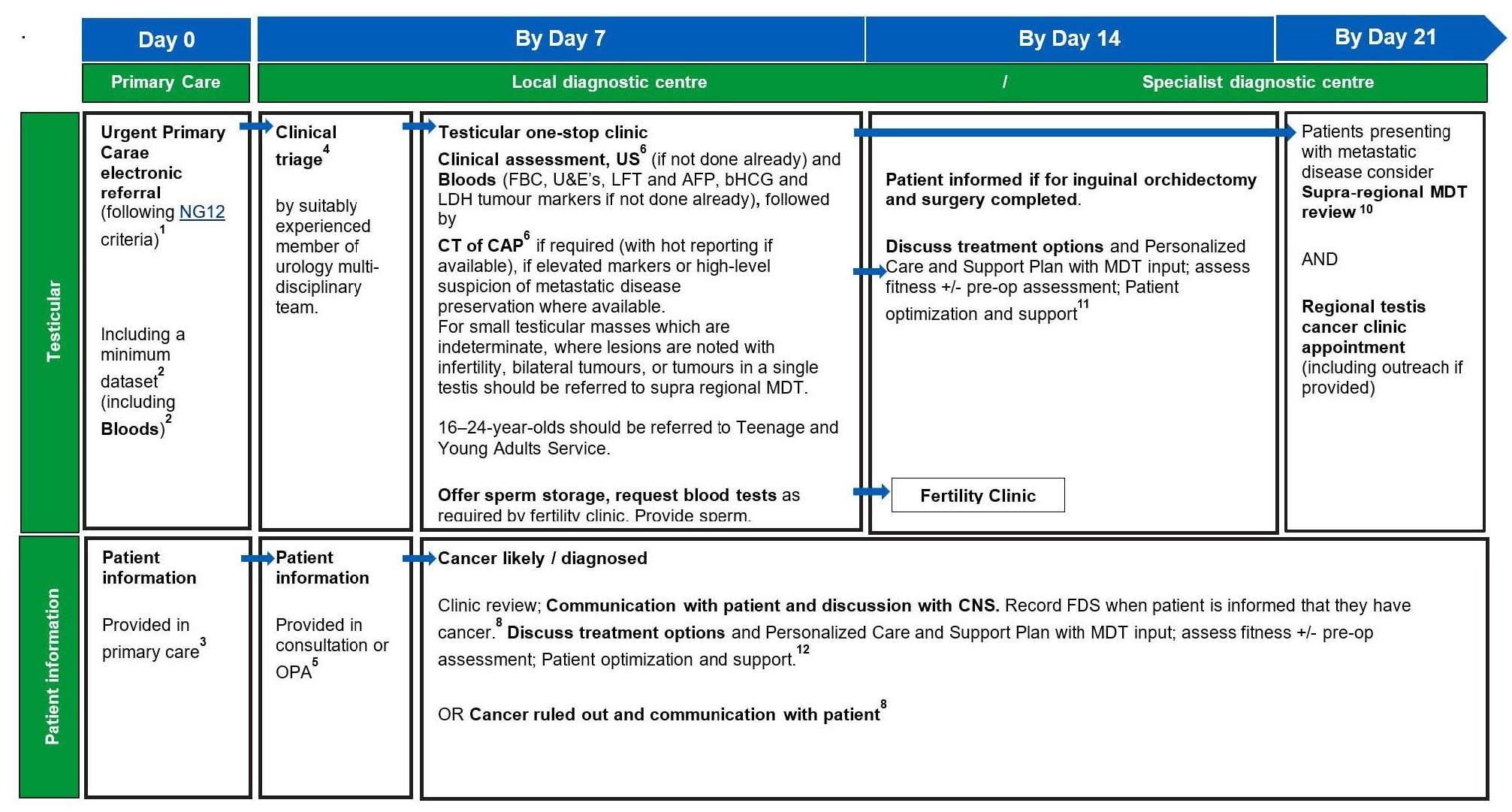 Urological Cancer Diagnostic Pathway: NHS 2024 Guideline Summary