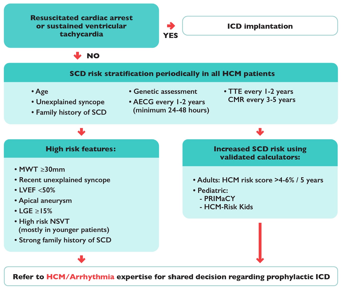 Hypertrophic Cardiomyopathy: CCS 2024 Guideline Summary