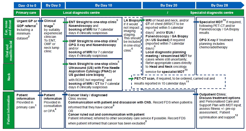 Head and Neck Cancer Diagnostic Pathway: NHS 2023 Guideline Summary