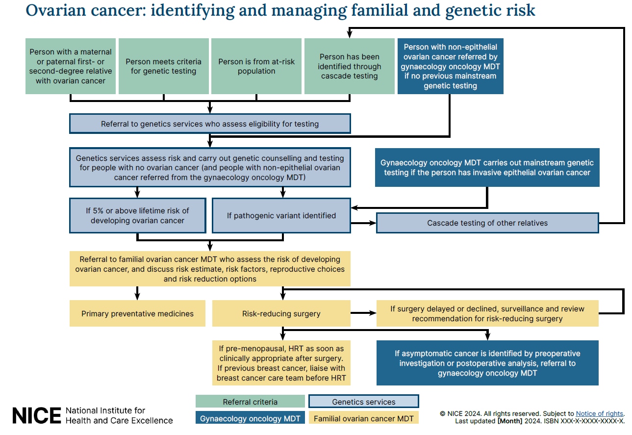 Ovarian Cancer Familial Risk: NICE 2024 Guideline Summary for Oncologists