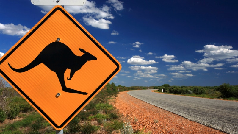 Traitement des carcinomes cutanés à cellules de Merkel