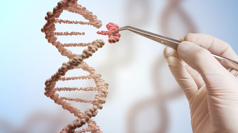 Eine Frau mit Alien-Limb-Syndrom und Persönlichkeitsveränderungen