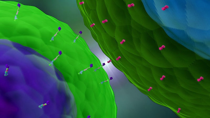 Dual-Targeting CAR T Cells Offers Hope to DLBCL Patients Dual-Targeting CAR T Cells Offers Hope to DLBCL Patients