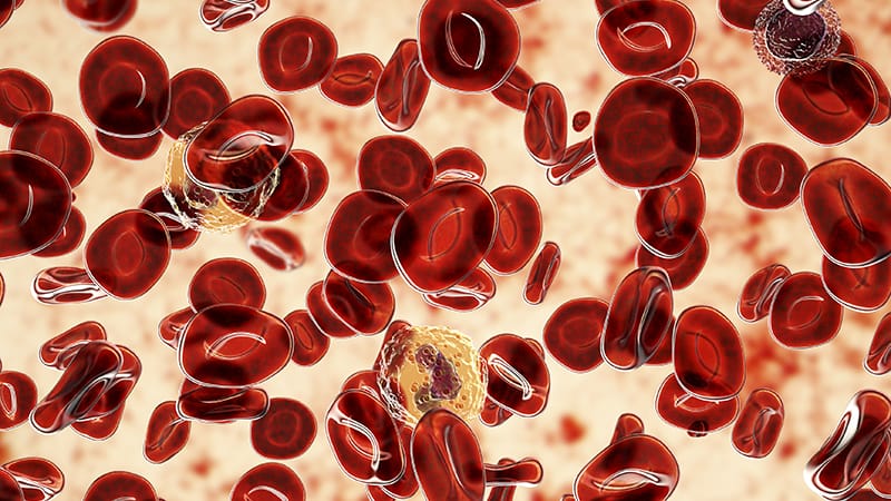 Leucocytose et risque thrombotique dans la maladie de Vaquez