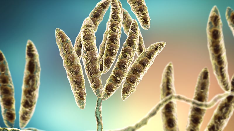 La fusariose invasive en USI : rare mais grave