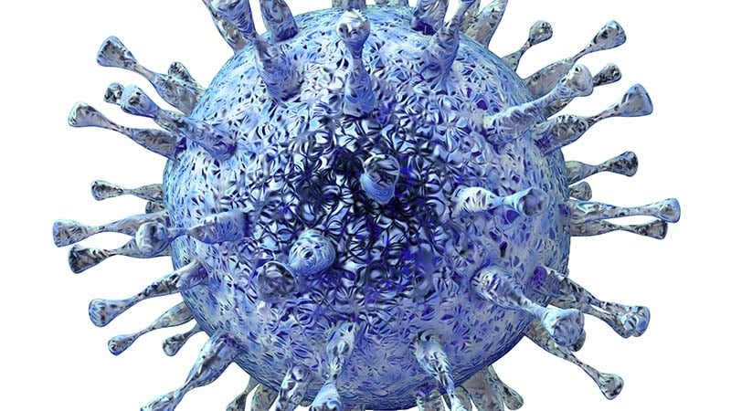 L'exercice des PADHUE outre-mer prolongé jusqu'en 2030